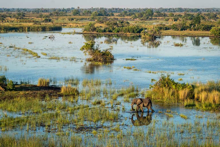 Okavango Delta: Africa’s Premier Water Safari Destination