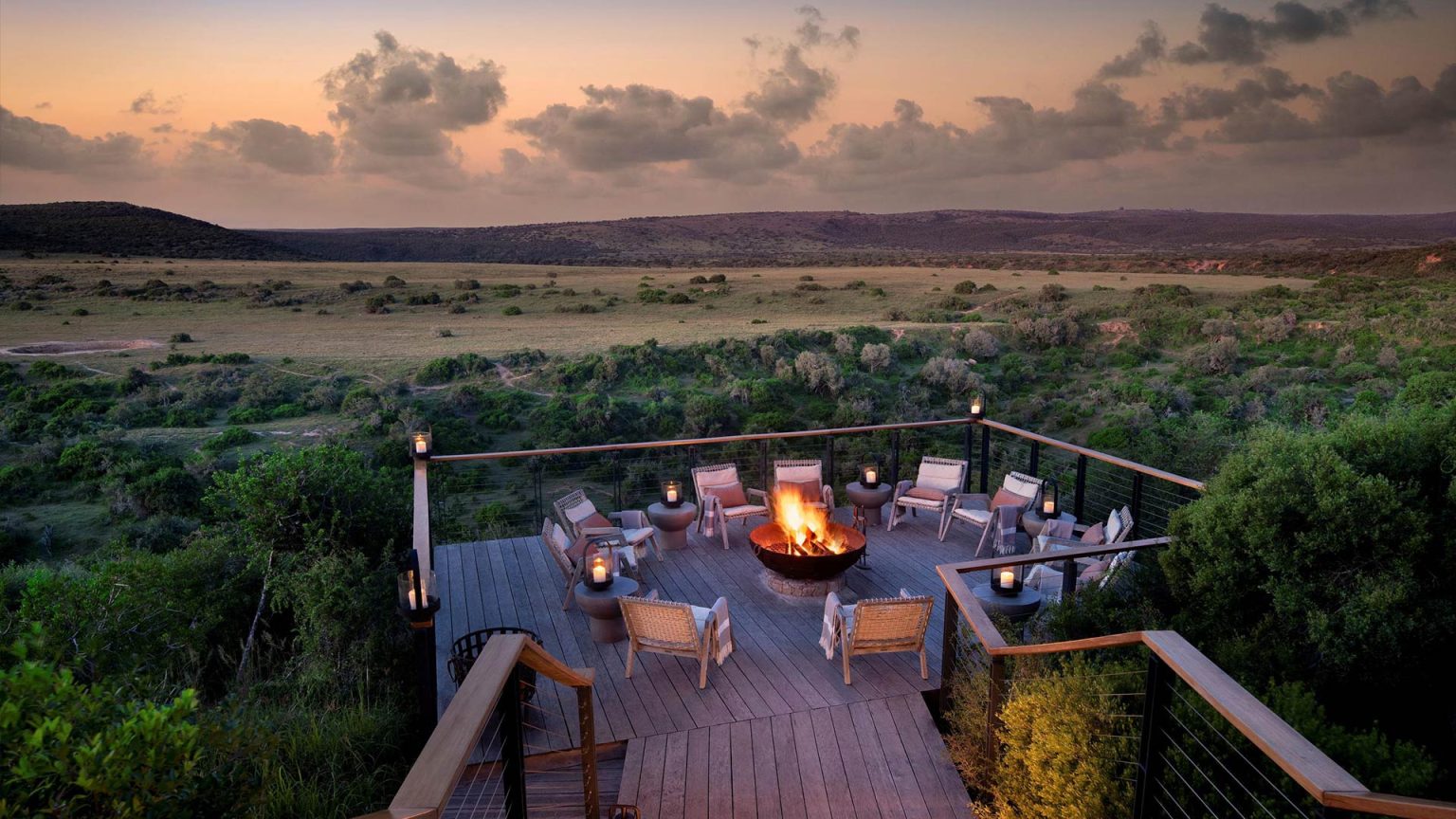 Shamwari Sindile Lodge | South African Safari